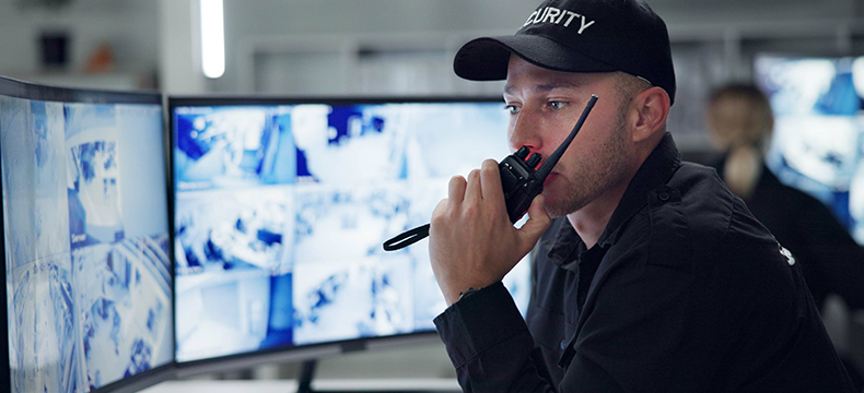 Prosectra: Physical Security